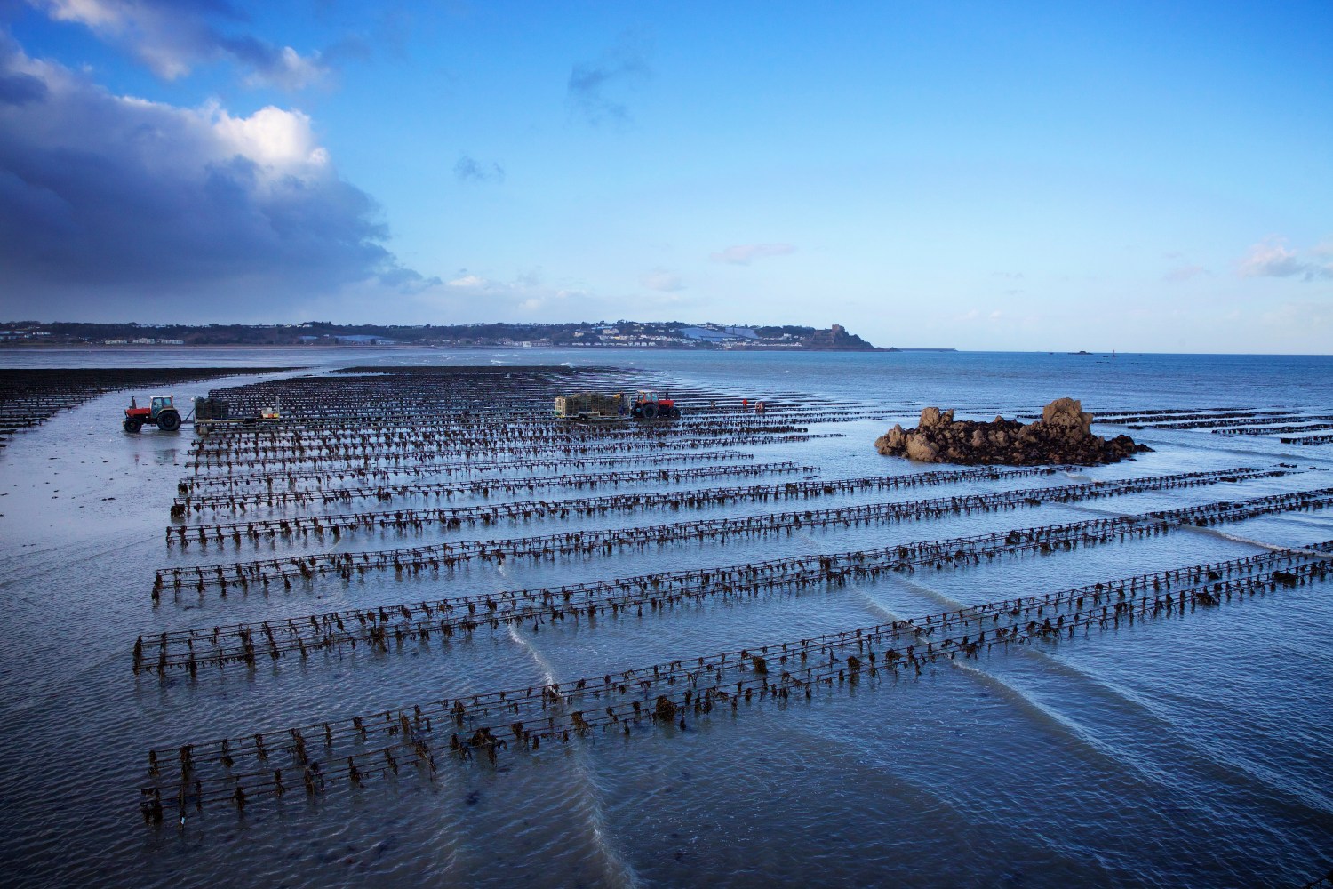 photo-gallery – Jersey Oyster